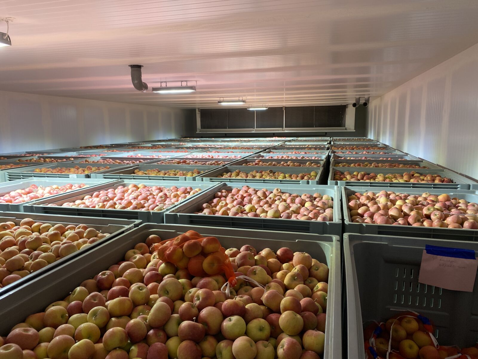 Fruit and vegetables storage - Pebaco ITE BV
